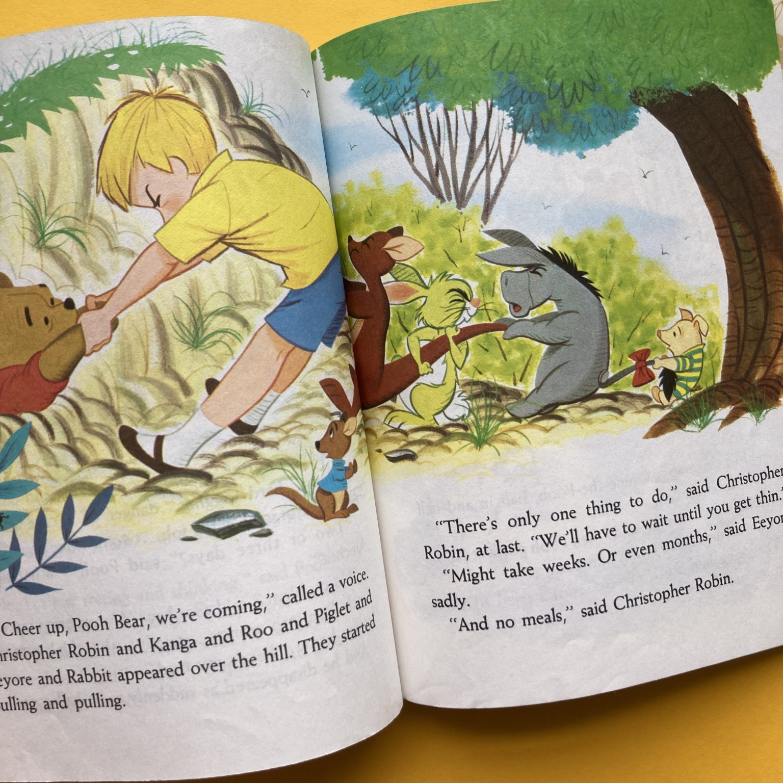 Walt Disney’s Winnie the Pooh Meets Gopher, O (15th), Vintage Little ...